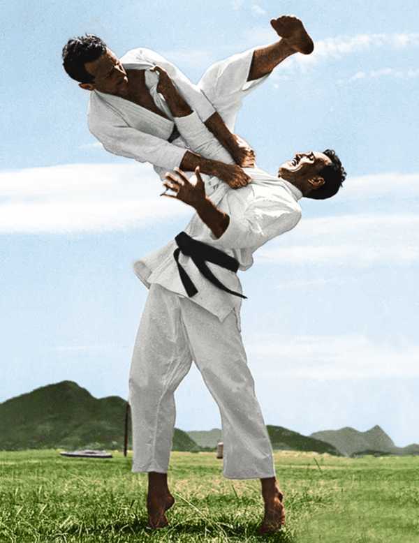 Category: Introduction To Brazilian Jiu Jitsu - Panda BJJ – Levittown ...